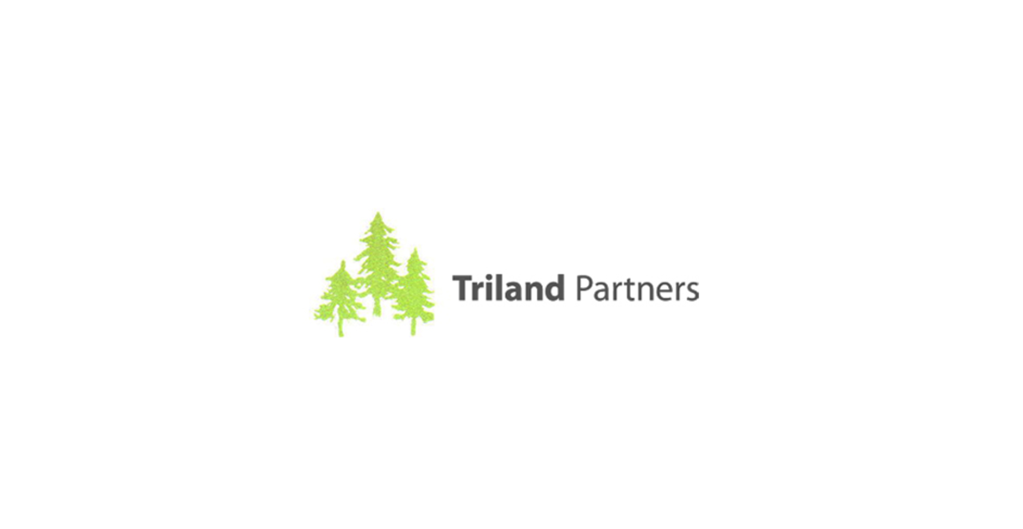 Triland Partners review 2025 - Services and Price | Location | Pros and ...